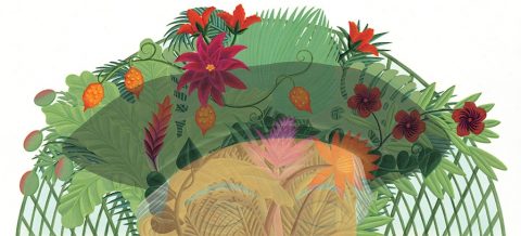 The Fantastic Jungles of Henri Rousseau | Image Gallery